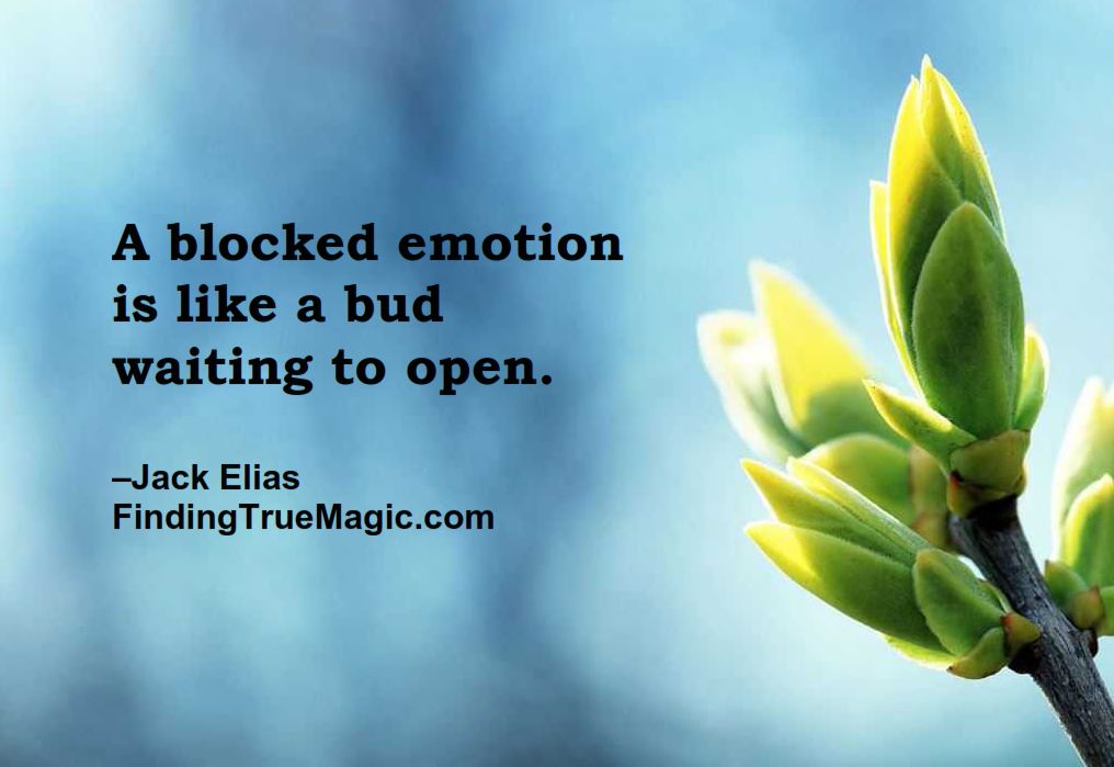 Bud-quote-2 | Jack Elias: Author, Trainer - Transpersonal Hypnotherapy NLP